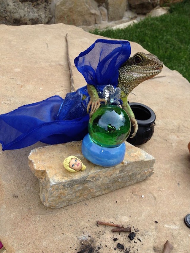 Creative Woman Dresses Up Her Pet Lizards In Hilarious Outfits (Photos)
