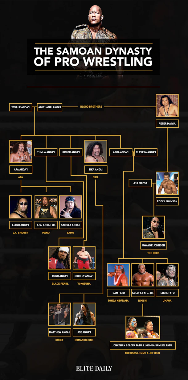 Samoan Strength The Rock s Family Tree Is A Wrestling Dynasty Photo samoan-strength-the-rock-s-family-tree-is-a-wrestling-dynasty-photo