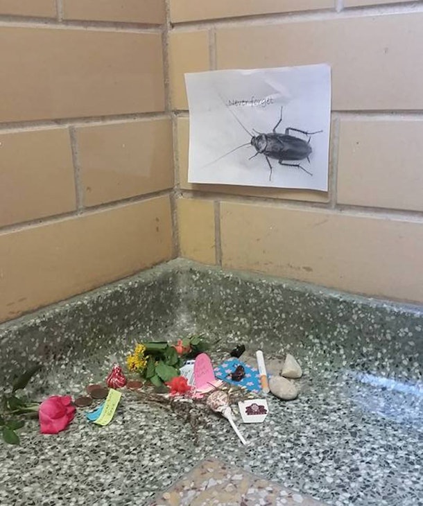 People Actually Held A Funeral Service For This Dead Cockroach (Photos)