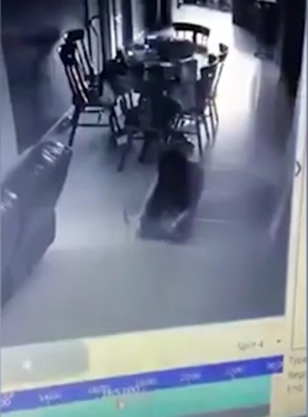 Eerie Video Shows Maid Being 'Possessed By Ghost'