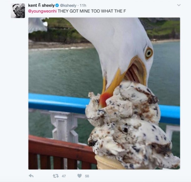 Internet's In Mourning Over Girl's Ice Cream Stolen By Seagull
