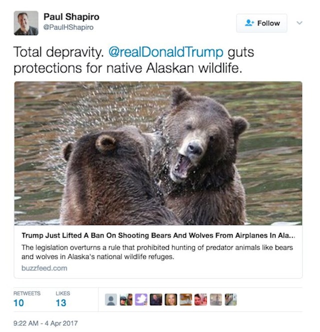 Trump Approves Hunting Of Alaskan Bears From Airplanes