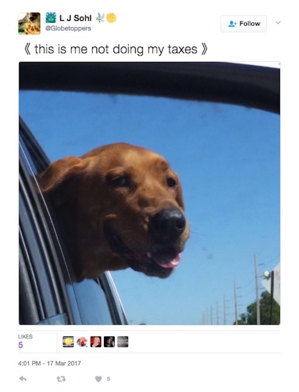 20 Memes That Express How You Feel About Doing Your Taxes