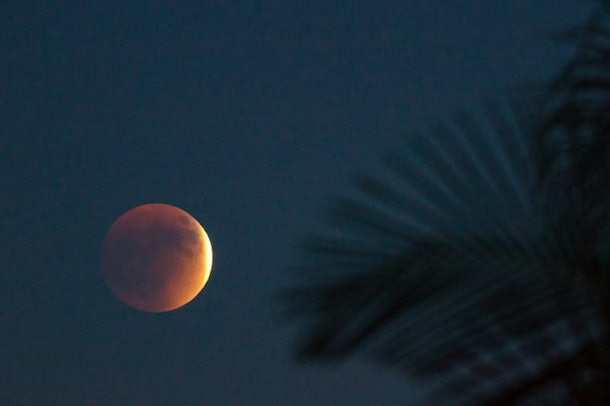 What Time is the Lunar Eclipse? Here's What You Need To Know