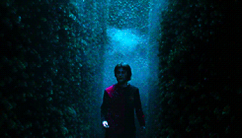 'Harry Potter' Portkey Theory Will Have You Re-Thinking Everything