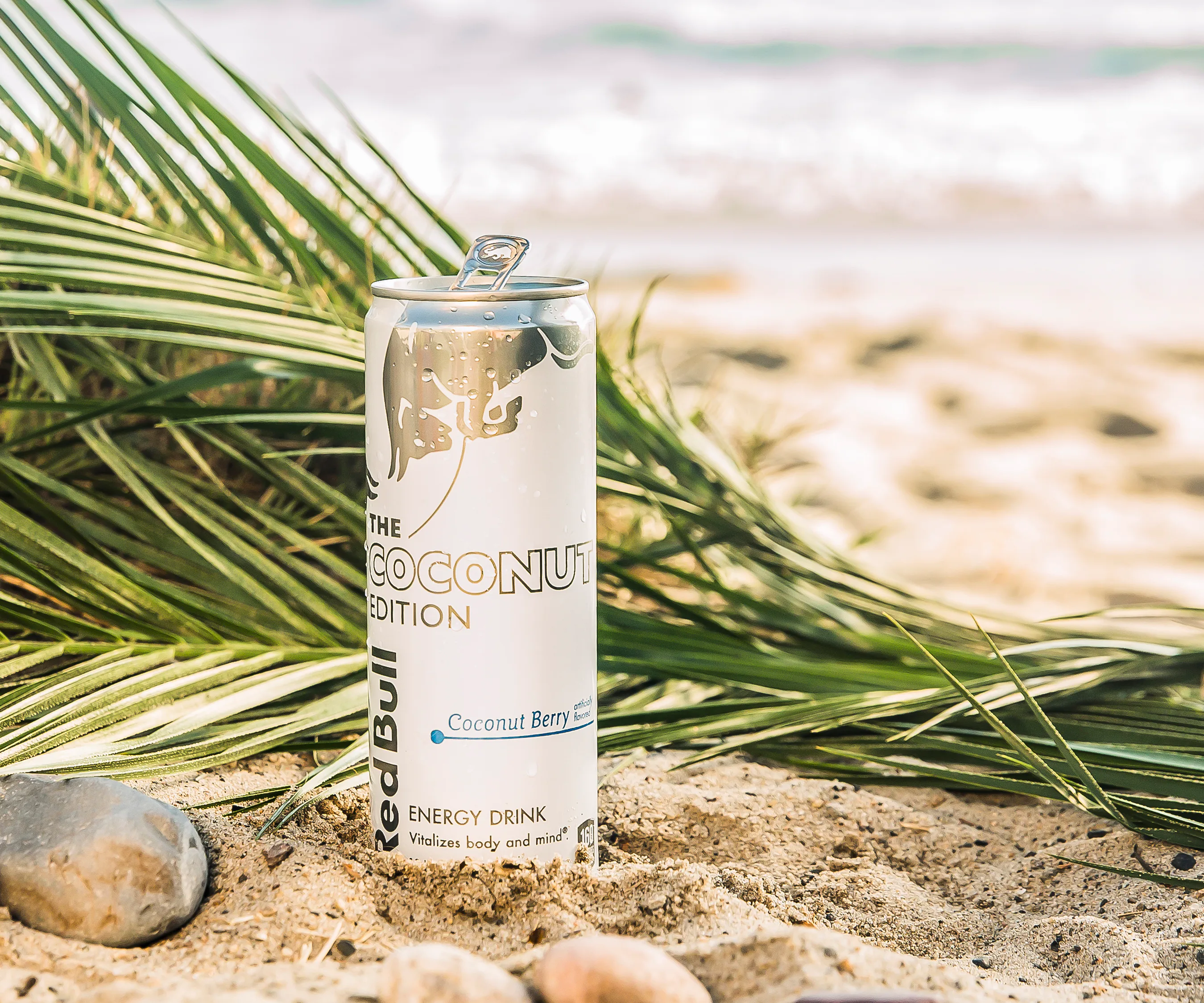 Here’s Where To Get Red Bull's Coconut Edition Drink For Free On Oct. 23