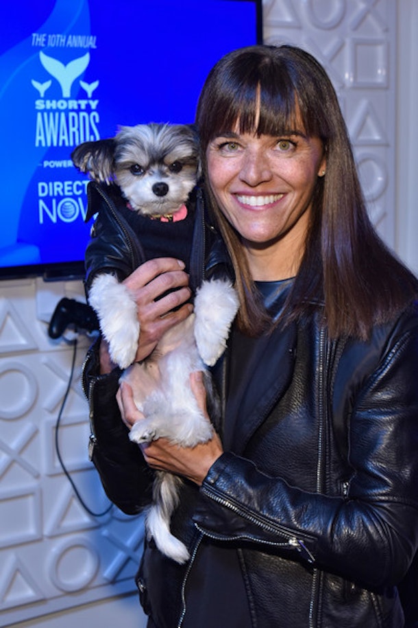 Tinkerbelle The Dog's Owner, Sam Carrell, Is The Genius Behind Her ...