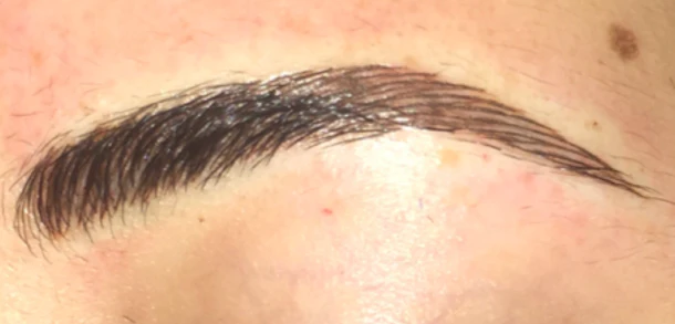 What Is Eyebrow Microshading? I Got Inked & Learned All About It