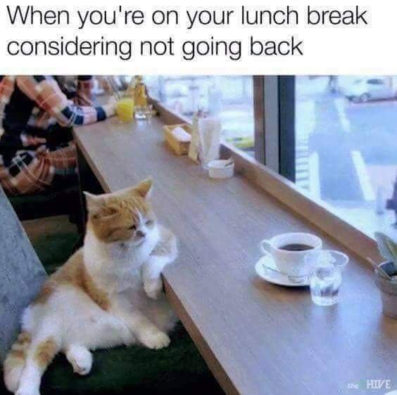 9 Memes To Send Your Work Wife That Perfectly Describe Your Relationship