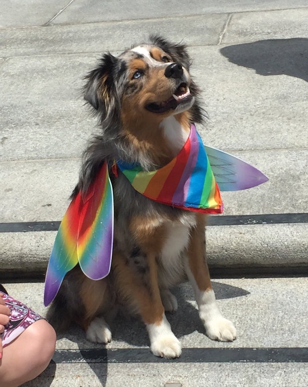 24 Tweets About Pride Month That Beautifully Celebrate LGBTQ+ Culture