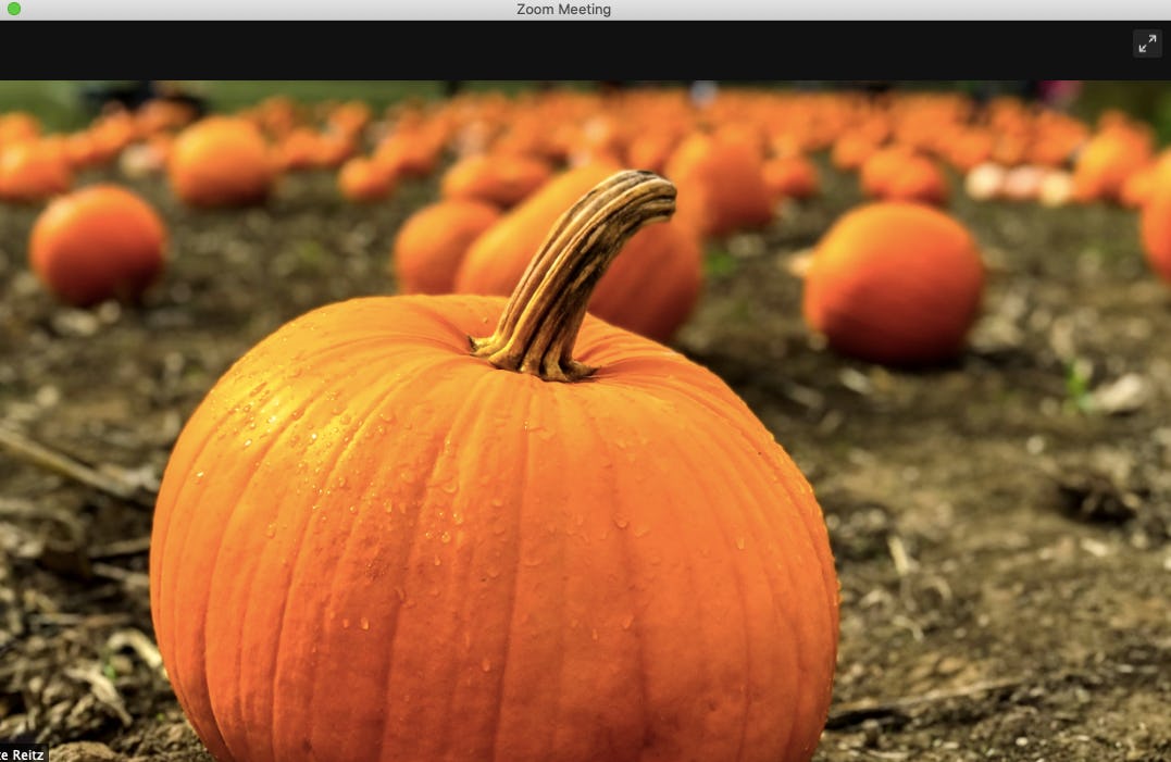 These Pumpkin Zoom Backgrounds Will Make Your Next Video Call Fall AF ...