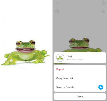 These 10 Animal Face Filters On Snapchat Will Liven Up Your Story
