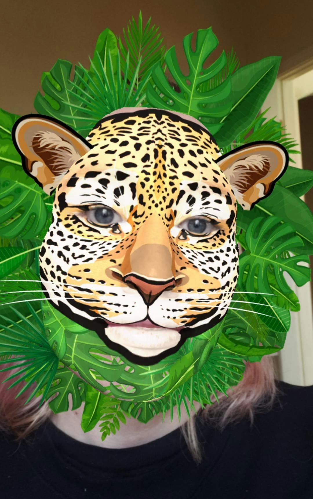 11 Best Animal Face Filters On Instagram For A Wild Change To Your Stories
